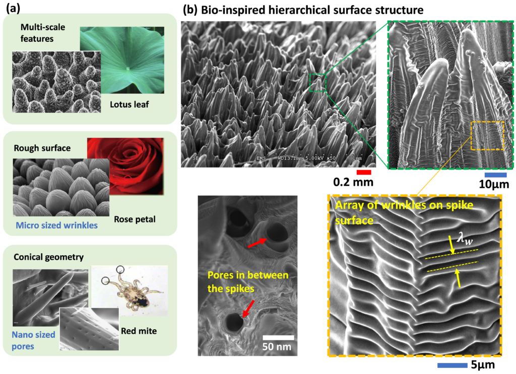 Bio-inspired Design – LAMBDA