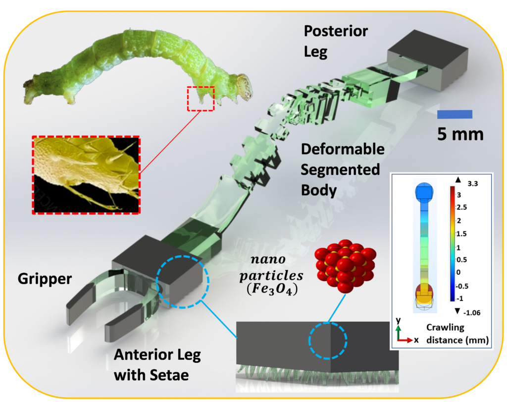 Biomimetic Functional Structures – LAMBDA