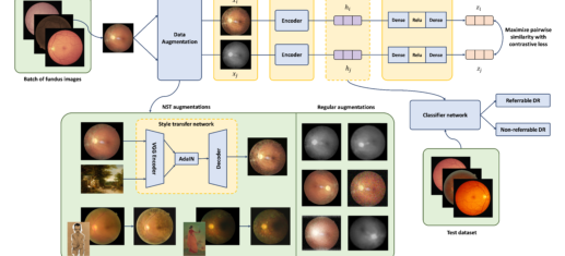 Quantitative Imaging and AI Laboratory – The William States Lee College ...